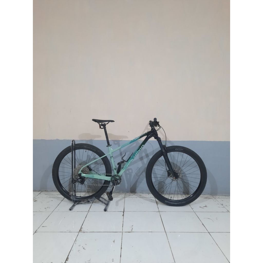 Jual POLYGON XTRADA 6 TAHUN 2023 | Shopee Indonesia