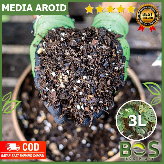 Jual Bosplant - Media Tanam Aroid Premium Mix Media Tanam Tanaman Hias ...