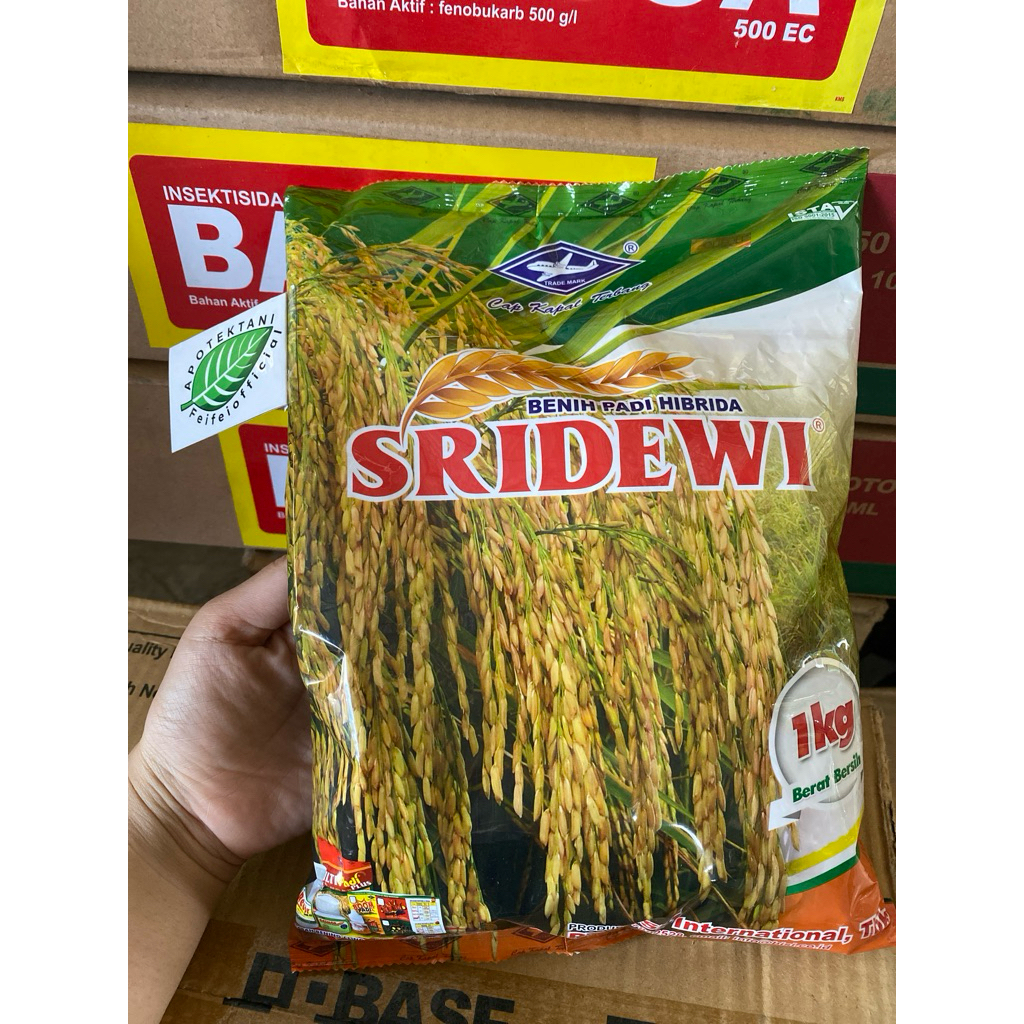 Jual READY 100%Ori Benih Padi SRIDEWI KEMASAN 1 KG | Shopee Indonesia