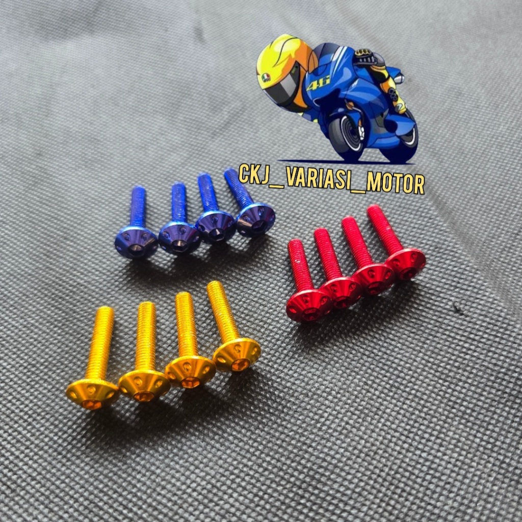 Jual 4 BIJI BAUT PROBOLT VISOR UNTUK ANTI JEBOL FULL CNC PANJANG BAUT ...