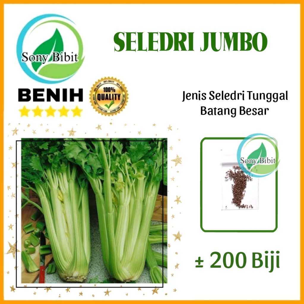 Jual Benih Seledri Jumbo Tunggal Batang Besar Unggulan Petani | Shopee ...