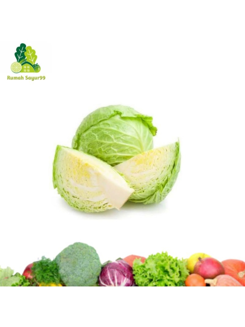 Jual Kol Kubis segar perbuah ( 600gr - 1kg ) | Kol kubis putih hijau ...