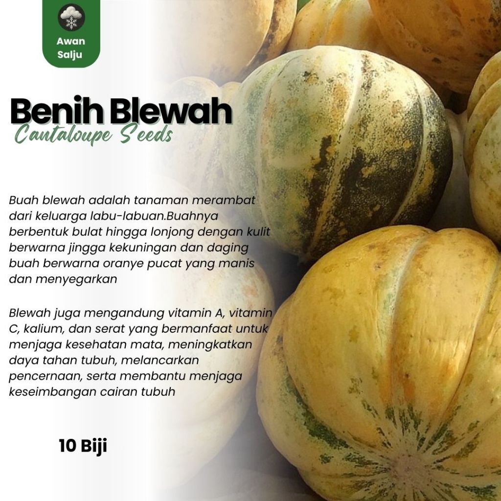 Jual Benih Buah Blewah Bibit Buah Blewah Benih Buah-buahan Berkualitas ...