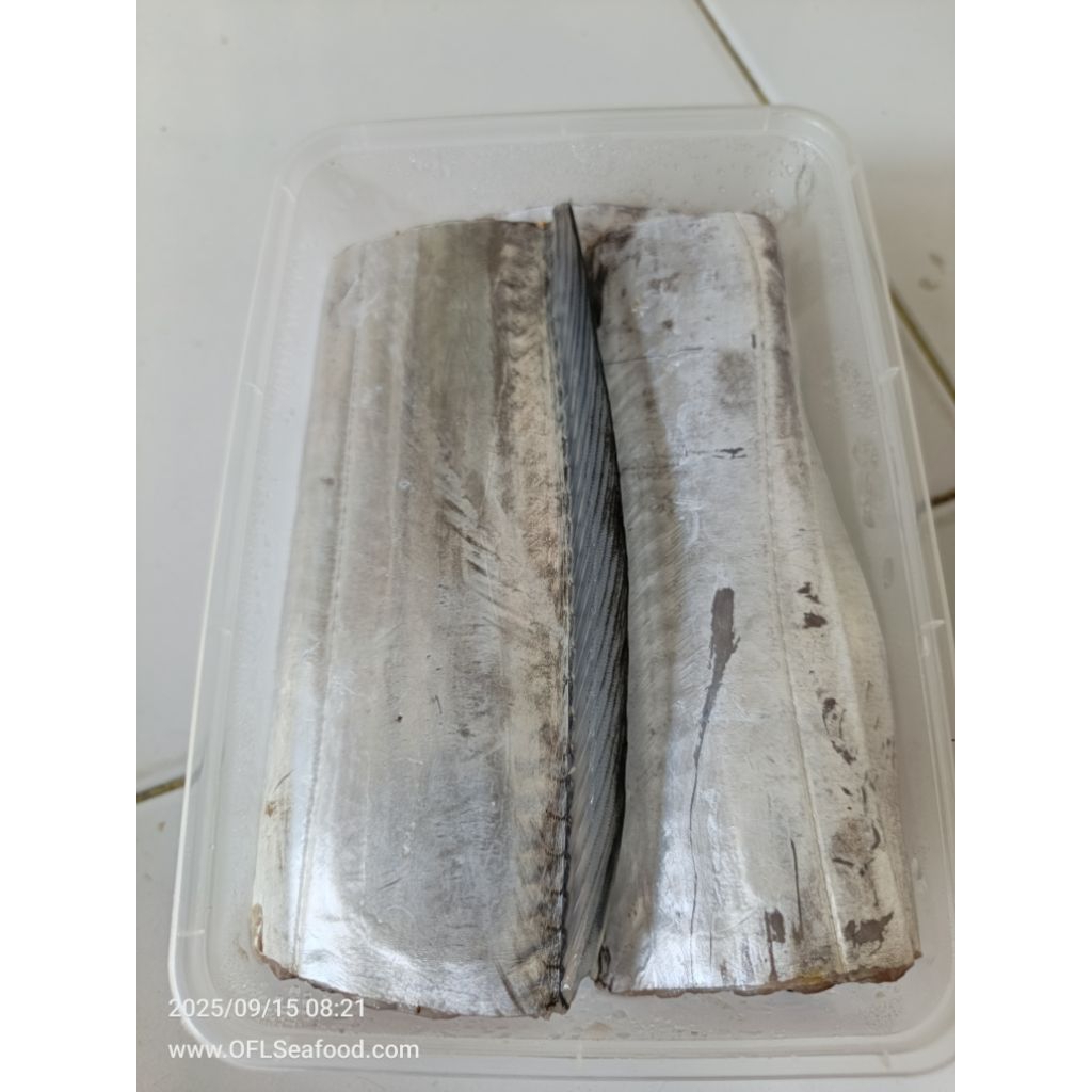 Jual Potongan Layur Besar 500gr | Shopee Indonesia