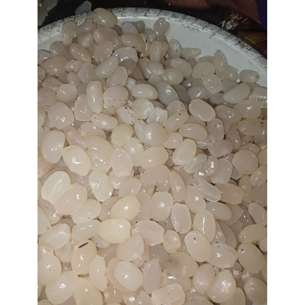 Jual Kulang kaling bulat 1kg | Shopee Indonesia