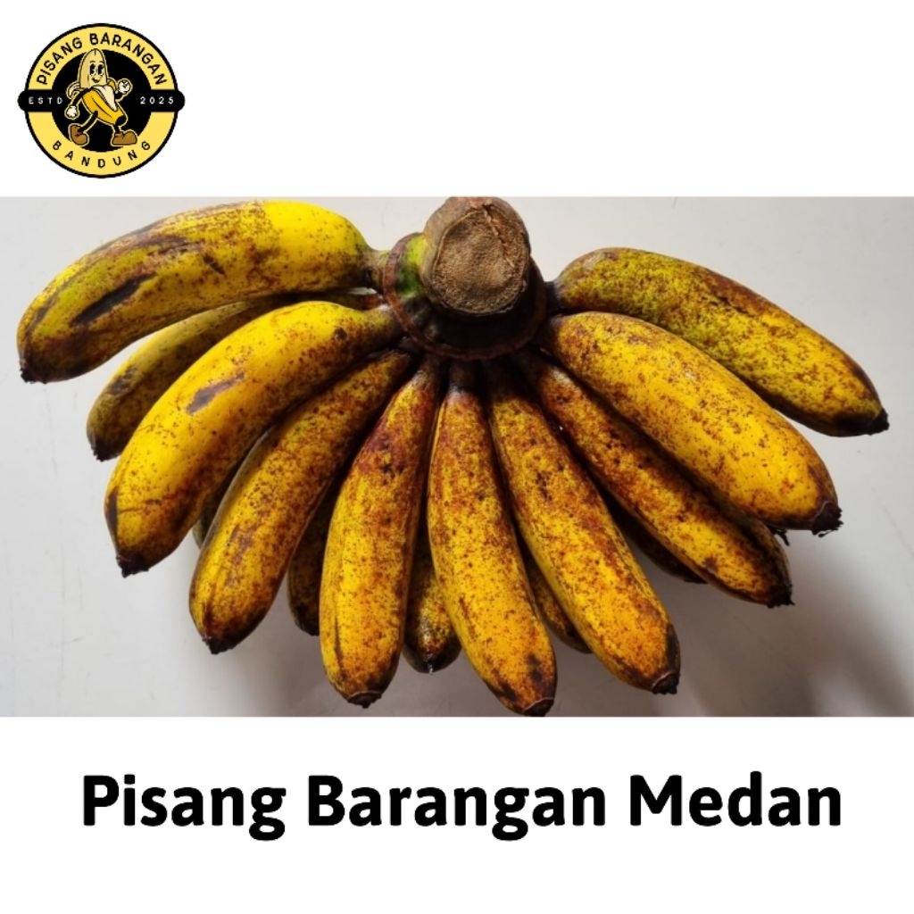 Jual Pisang Barangan Medan Asli Manis Segar 2KG (KIRIM INSTAN) | Shopee ...