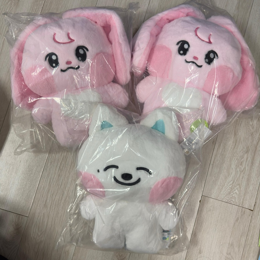 Jual [READY] NCT Dream Dreamiez's Dream Forest POP-UP x Line Friends eong jjun jjed jjopoo ...