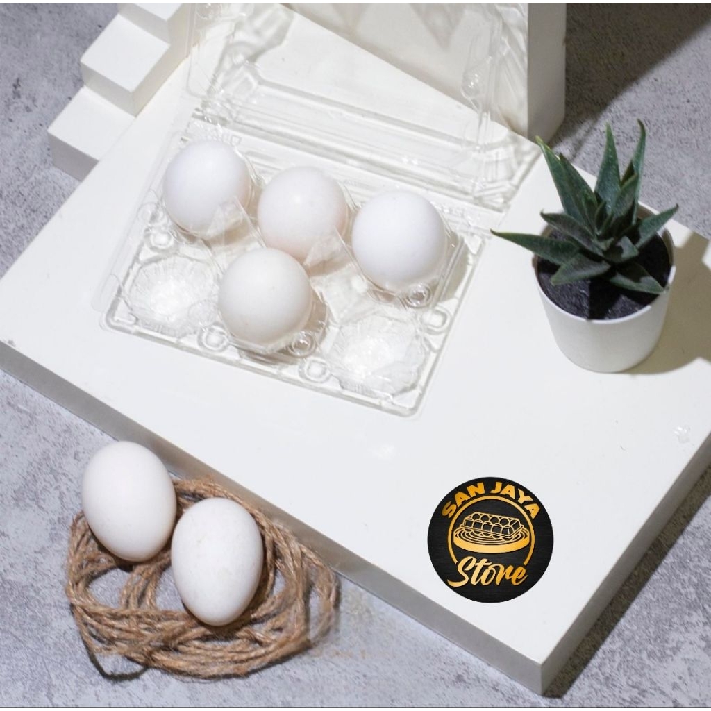 Jual MIKA TELUR AYAM KAMPUNG 6 LUBANG SUDAH ADA PENGUNCI | Shopee Indonesia