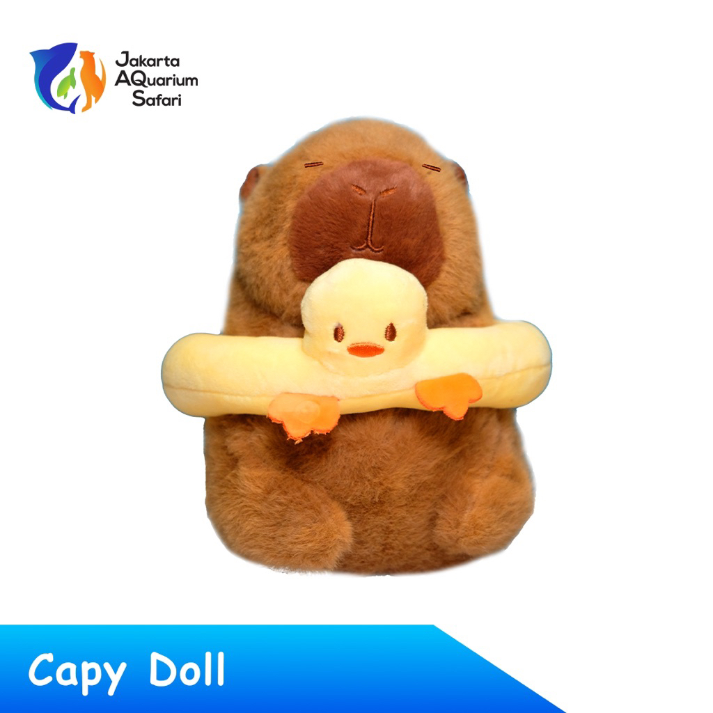 Jual Jakarta Aquarium Safari - Boneka Capybara Doll With Chicken ...