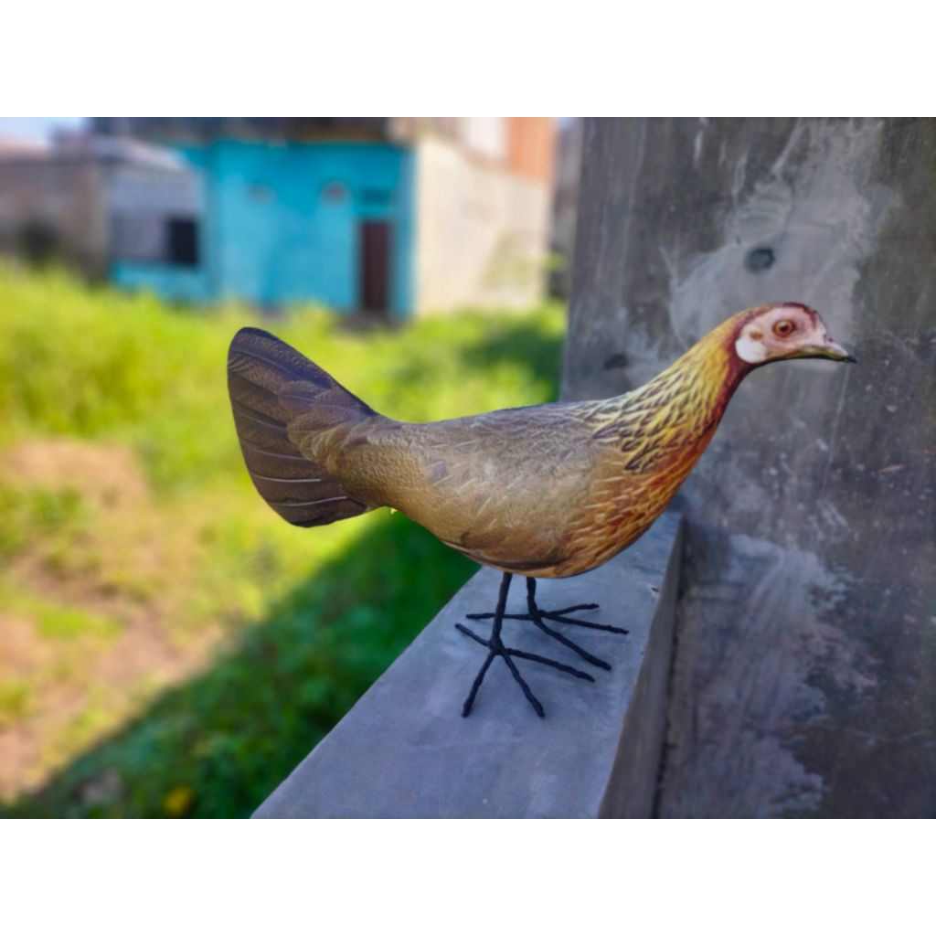 Jual PATUNG JONTROT AYAM HUTAN BETINA - JONTROT AYAM HUTAN BETINA MIRIP ...