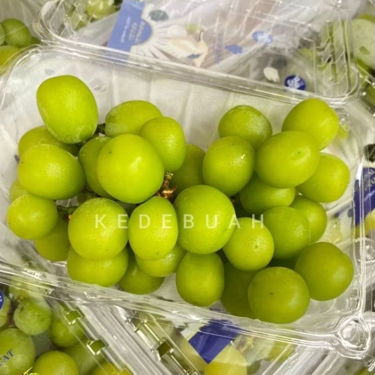 Jual Anggur Shine Muscat Green Seedless (Buy 1 Get 1) | Shopee Indonesia