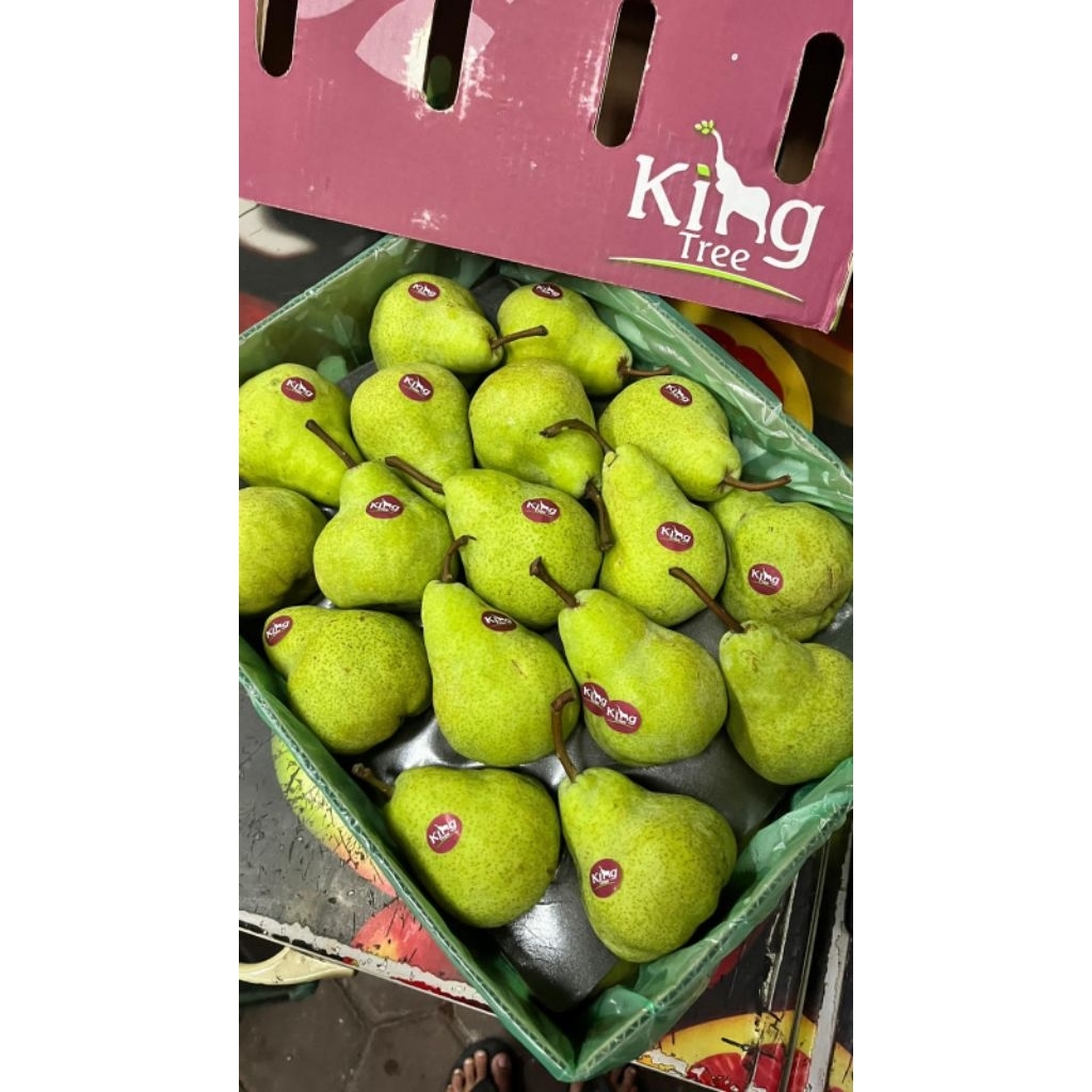 Jual PIR PACKHAM/KG | Shopee Indonesia