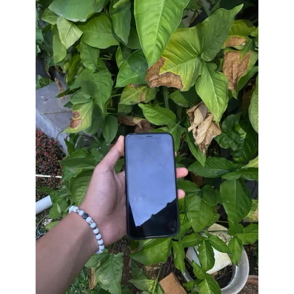 Jual IPhone XR Inter Terlengkap & Harga Terbaru Juni 2026 | Shopee ...