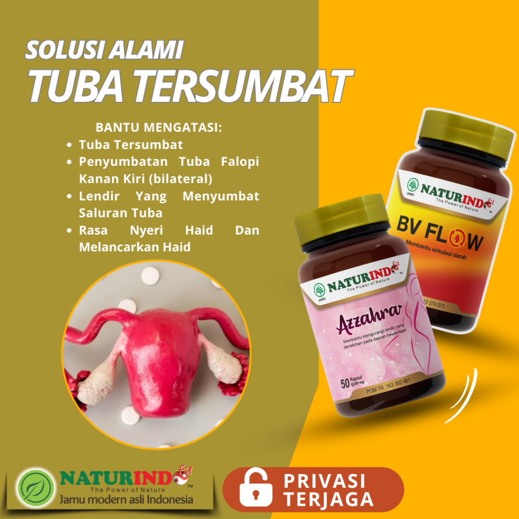 Jual Herbal Tuba Fallopi Tersumbat Penyumbatan Saluran Tuba Fallopi Non ...