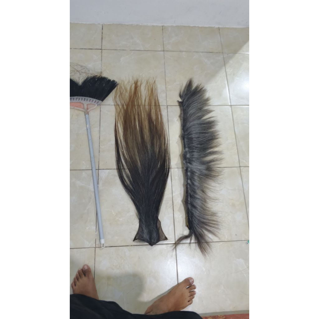 Jual Ekor Kuda Dawuk | Shopee Indonesia