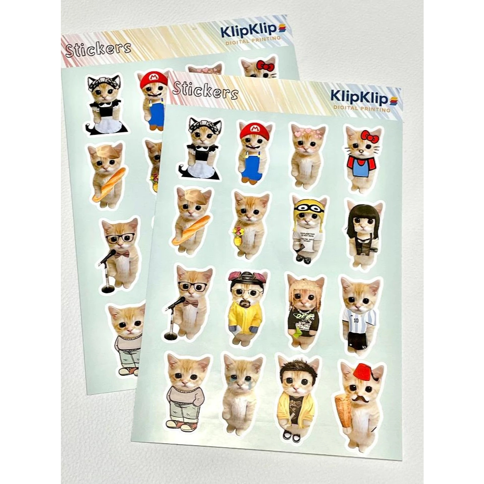 Jual Sticker Pack Kucing Meme Stiker Dudul Lucu Ukuran 3,5 cm - J3D ...