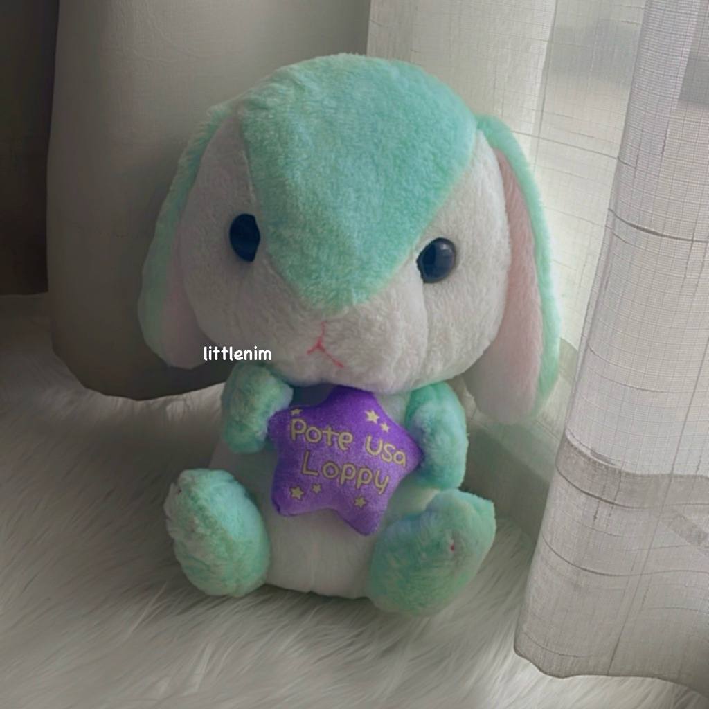 Jual Loopy Tosca Star Plush - Original Amuse | Shopee Indonesia