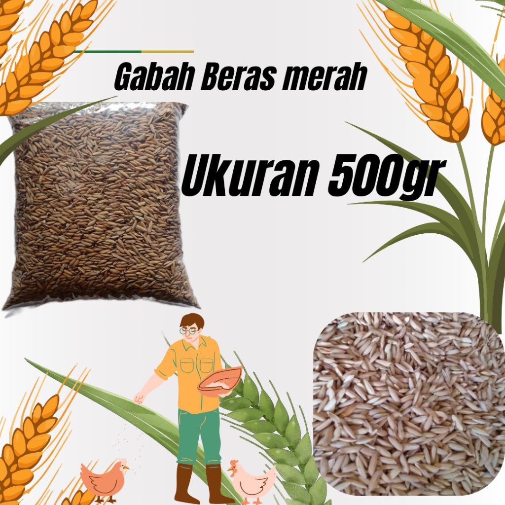 Jual Pakan Ayam Gabah Beras Merah 500gr – Sumber Energi & Serat Alami ...