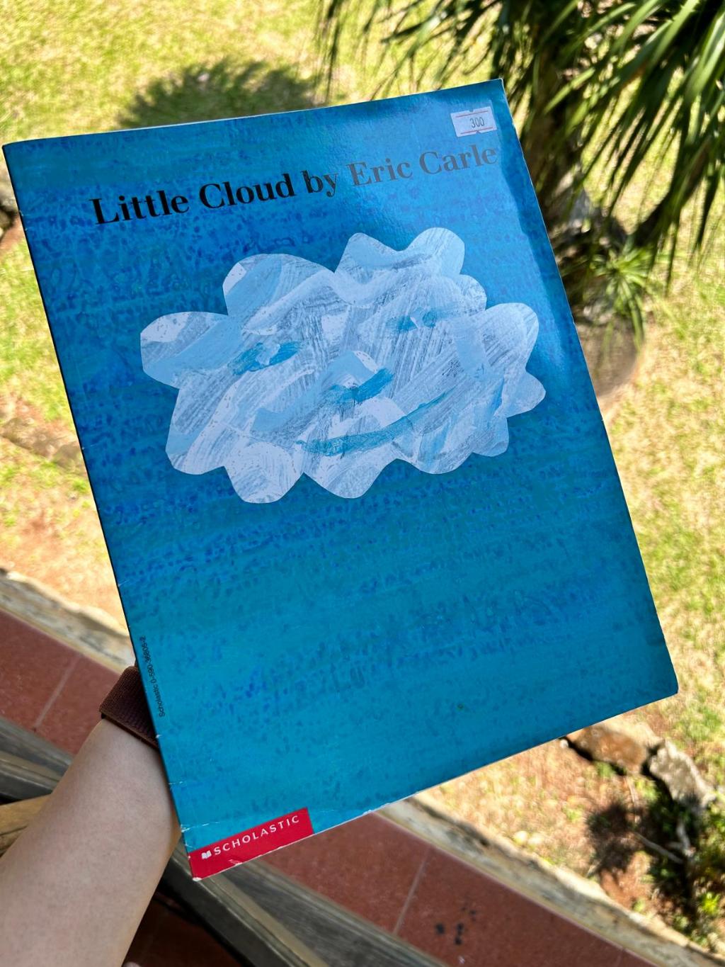 Jual Little Cloud Eric Carle Buku Anak Bahasa Inggris Preloved | Shopee ...