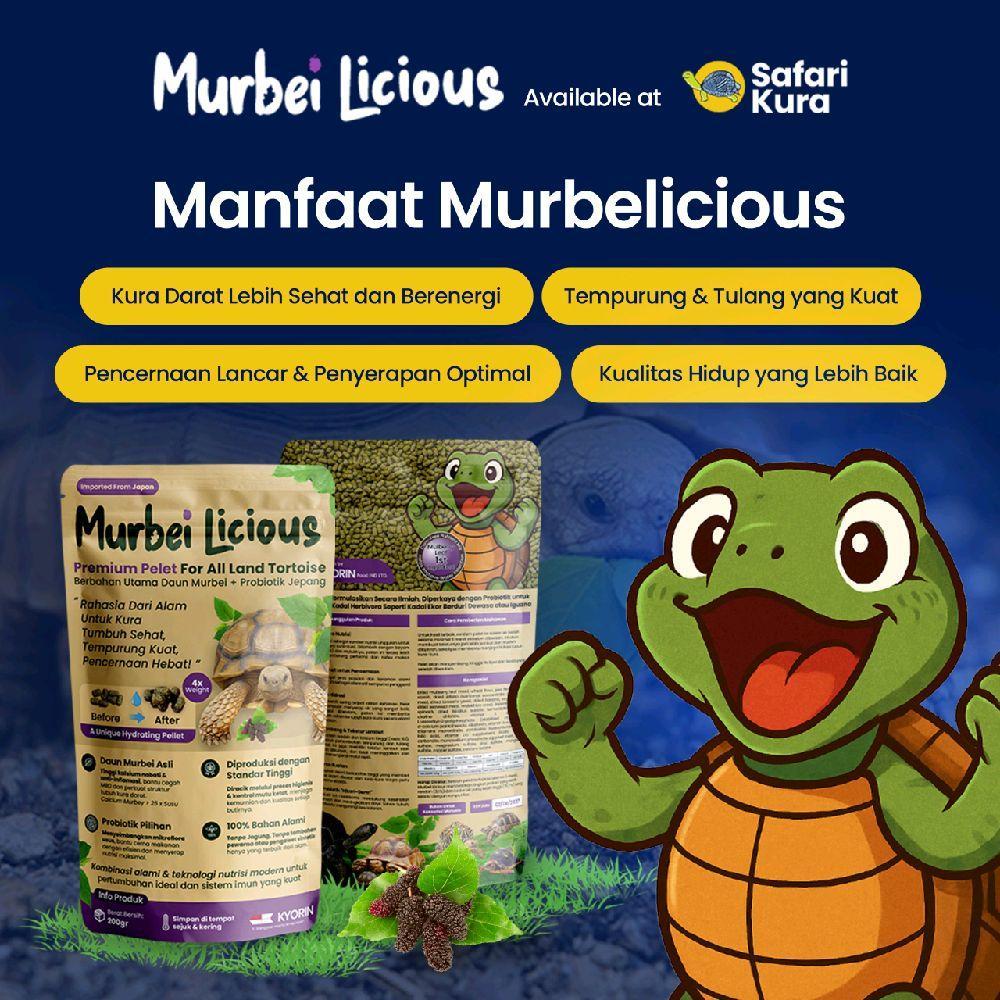 Jual MURBEI LICIOUS PELET MURBEY HIKARI MULBERIFIC DELITE 150 GR ...