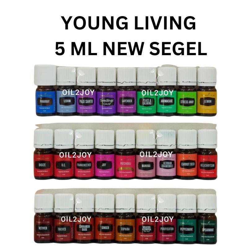 Jual YL 5ml RC Peppermint Lavender Thieves Purification Copaiba Valor ...