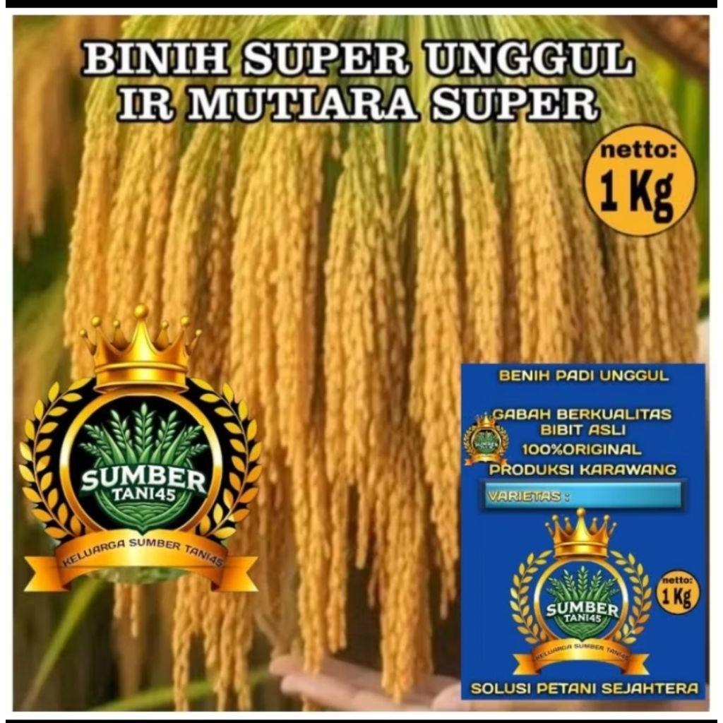 Jual BENIH PADI IR MUTIARA SUPER UNGGUL KEMASAN 1KG | Shopee Indonesia