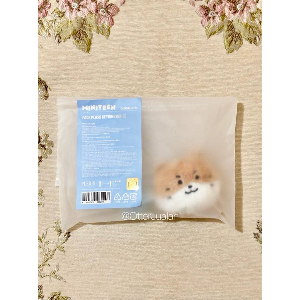 Jual MINITEEN OFFICIAL - Face Plush Keyring Chandalee | Shopee Indonesia