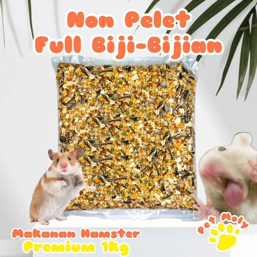 Jual 1KG Makanan Hamster Full Biji-bijian By Pet Moly | Shopee Indonesia