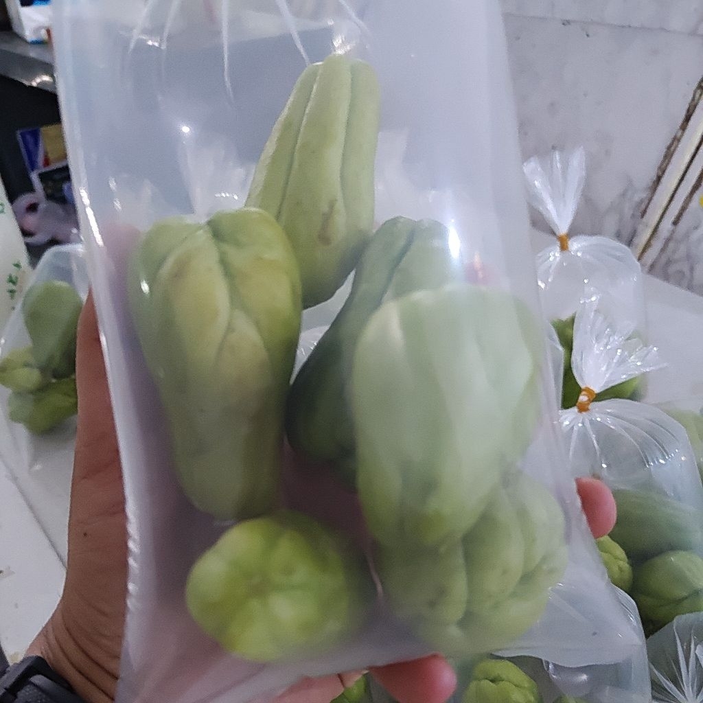 Jual LABUSIAM BABY ATAU LABU ACAR ATAU LABU LALAP | Shopee Indonesia