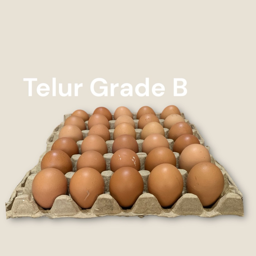 Jual Ayam Ras Terlengkap & Harga Terbaru Juni 2026 | Shopee Indonesia