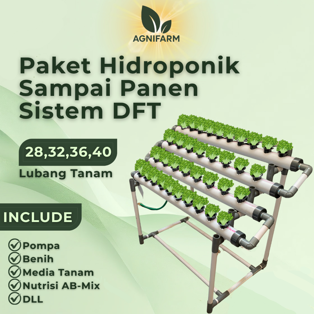 Jual Paket Lengkap Instalasi Hidroponik DFT Skala Rumahan | Shopee ...