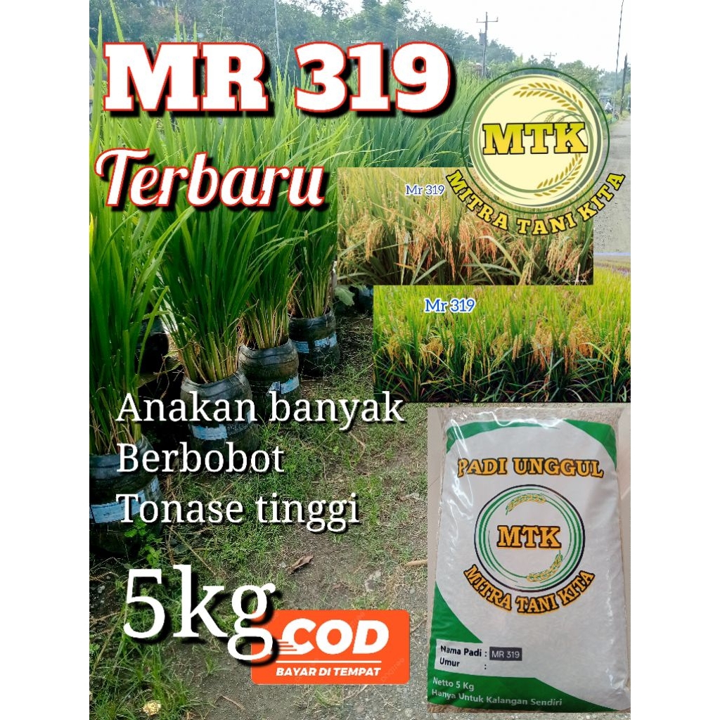 Jual BENIH PADI MR 319 ORIGINAL KEMASAN 5KG | Shopee Indonesia