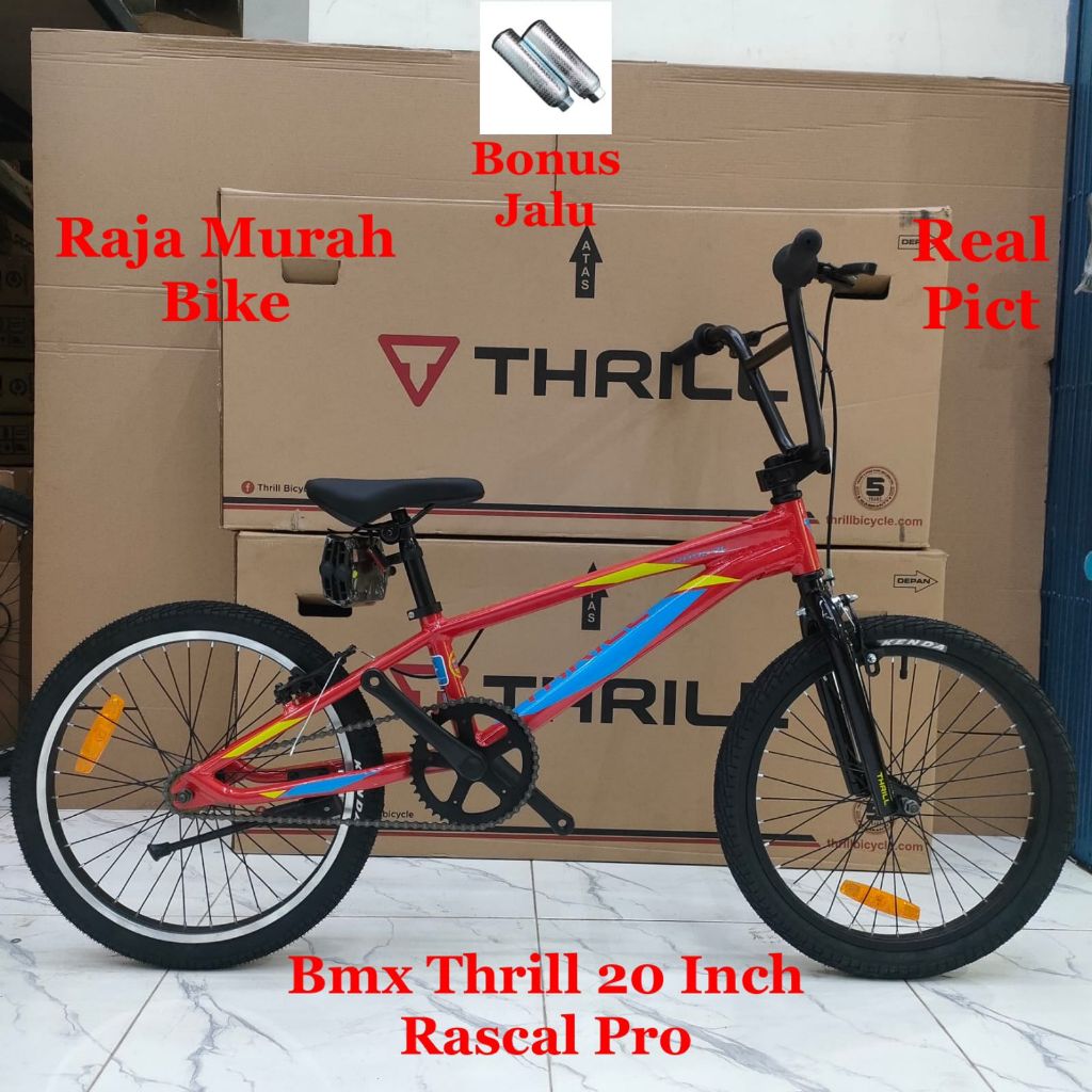 Jual Sepeda Bmx 20 Thrill Rascal Pro Frame Alloy Sepeda Anak Terbaru ...