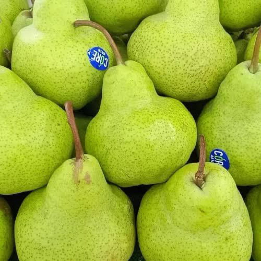 Jual Buah pear packham/ pir pekam / packham hijau | Shopee Indonesia
