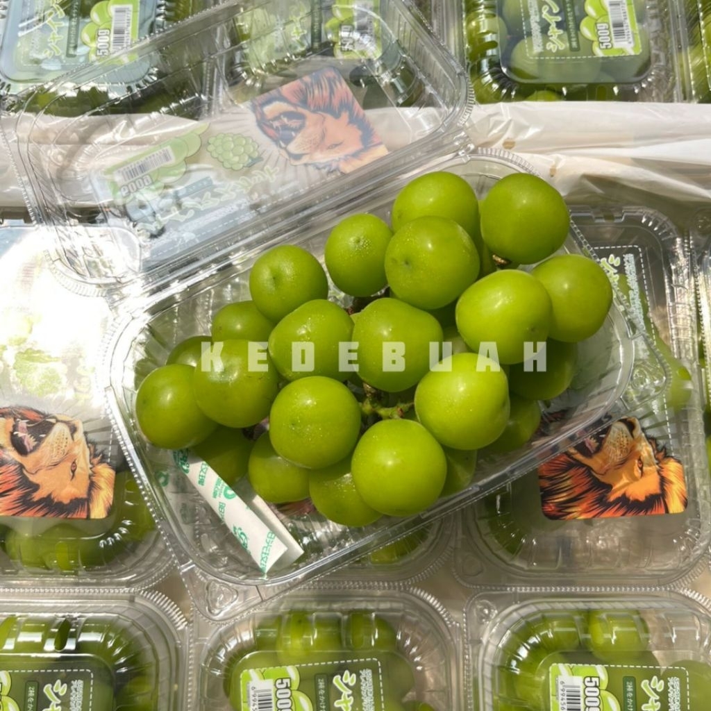 Jual Paket Mix Anggur Muscat Green + Sweet Sapphire Black | Shopee ...