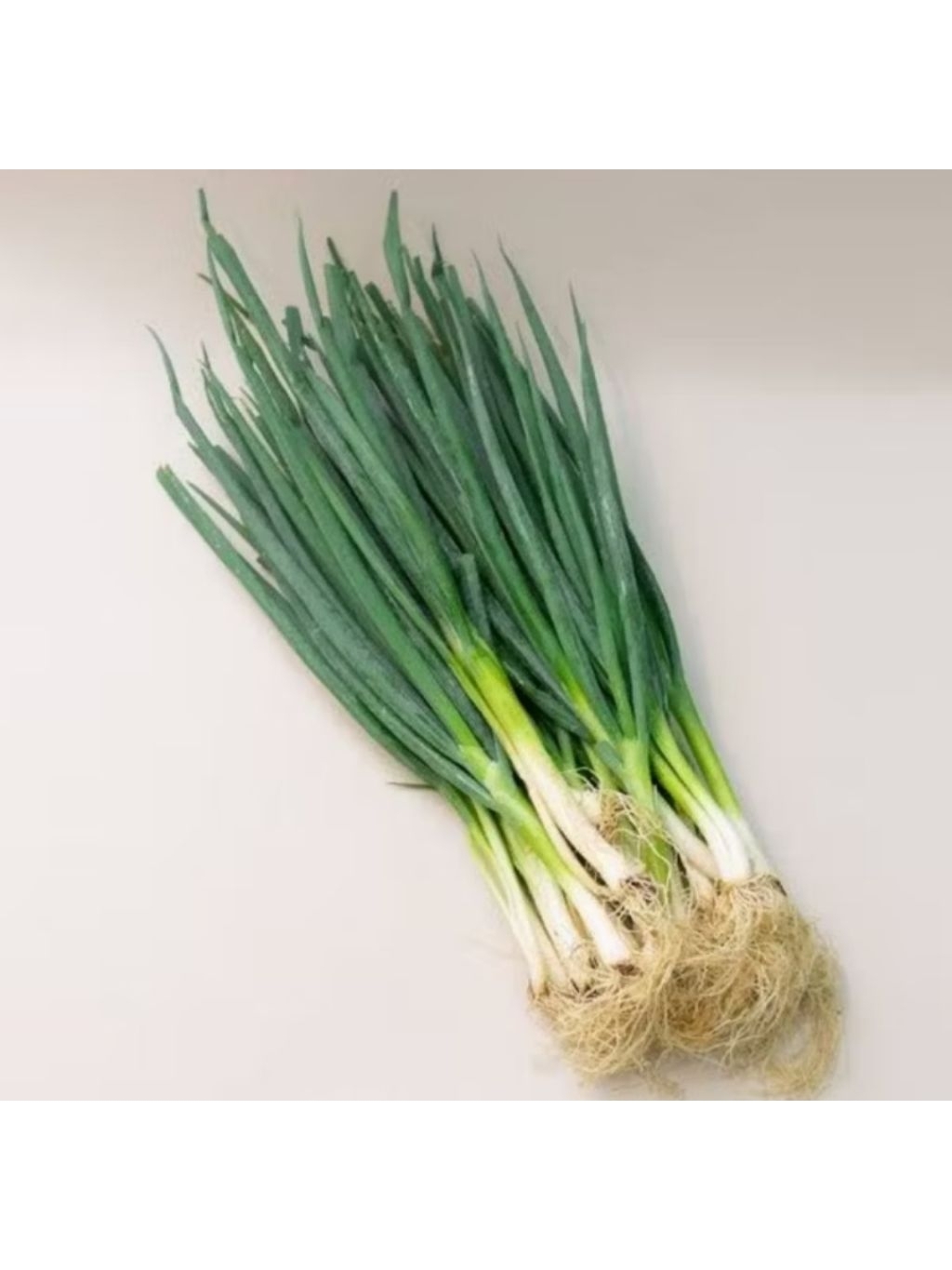 Jual Bawang Daun/Daun Bawang Segar/1kg | Shopee Indonesia