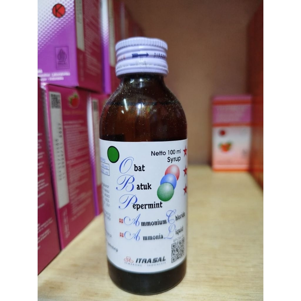 Jual OBP SIRUP BOTOL INTRASAL 100ML | Shopee Indonesia