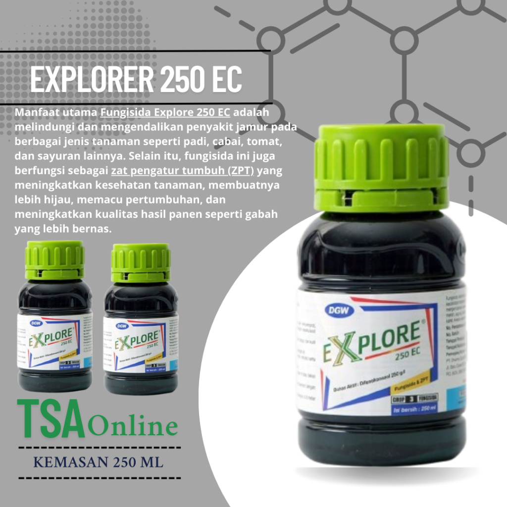 Jual Explore 250EC fungisida sistemik pengendali penyakit KEMASAN 250ML ...