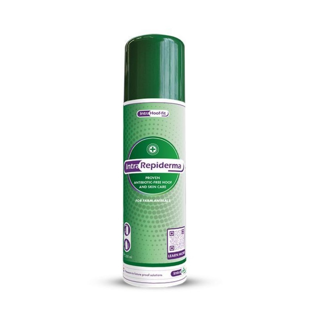 Jual Intra Repiderma Spray 250ml - Obat Semprot Luka Kulit Hewan ...