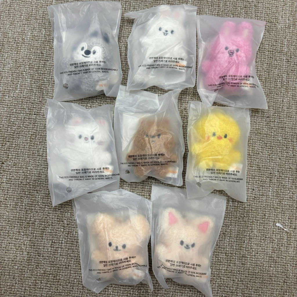 Jual [READY STOCK] MICRO SKZOO KEYRING STRAY KIDS WOLFCHAN LEEBIT ...