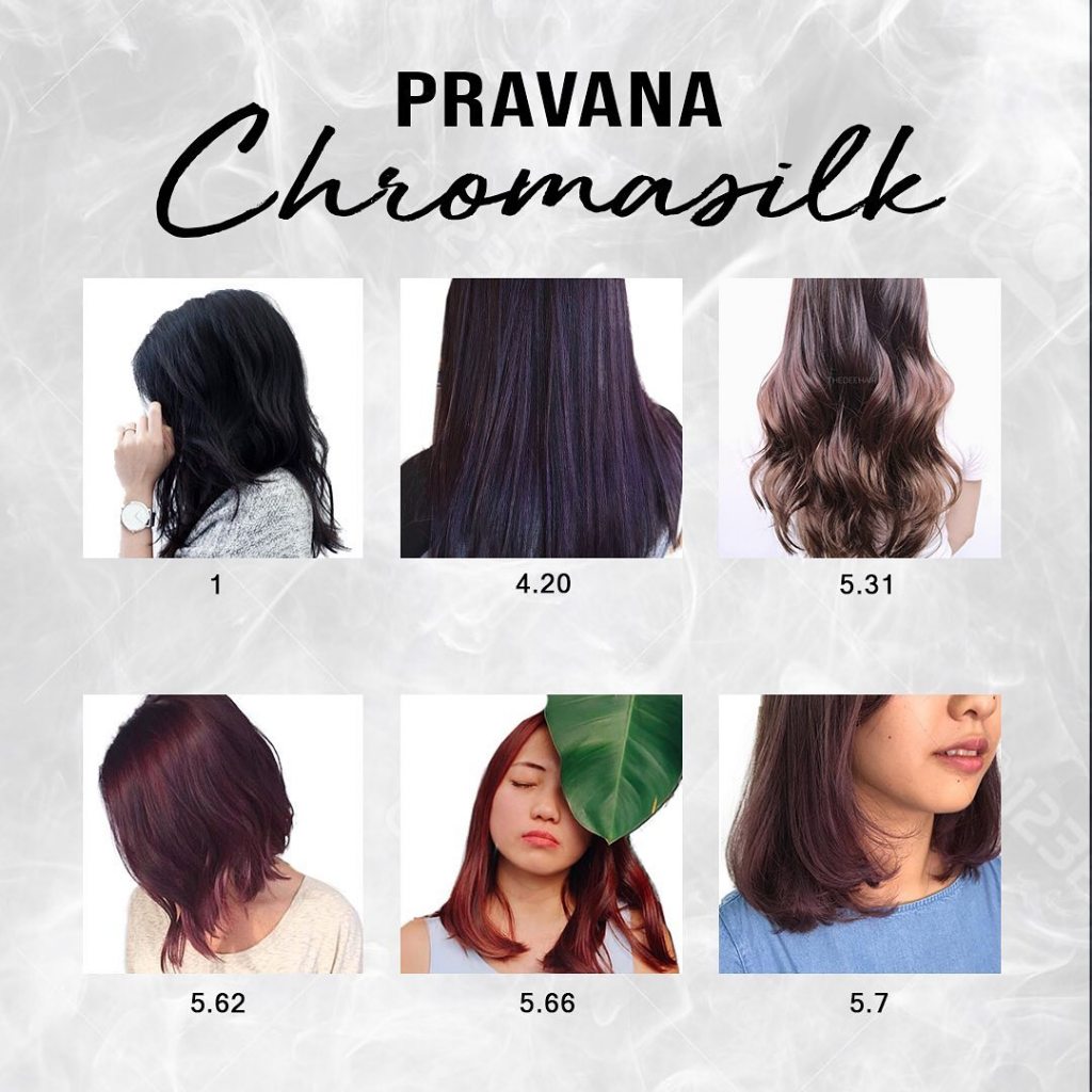 Jual Katalog Cat Rambut Pravana Chromasilk | Shopee Indonesia
