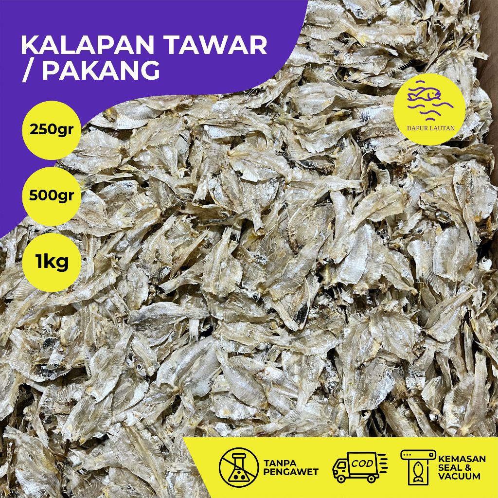 Jual Ikan Asin Kalapan Tawar / Pakang Berat 250 gram, 500 gram, & 1 kg ...