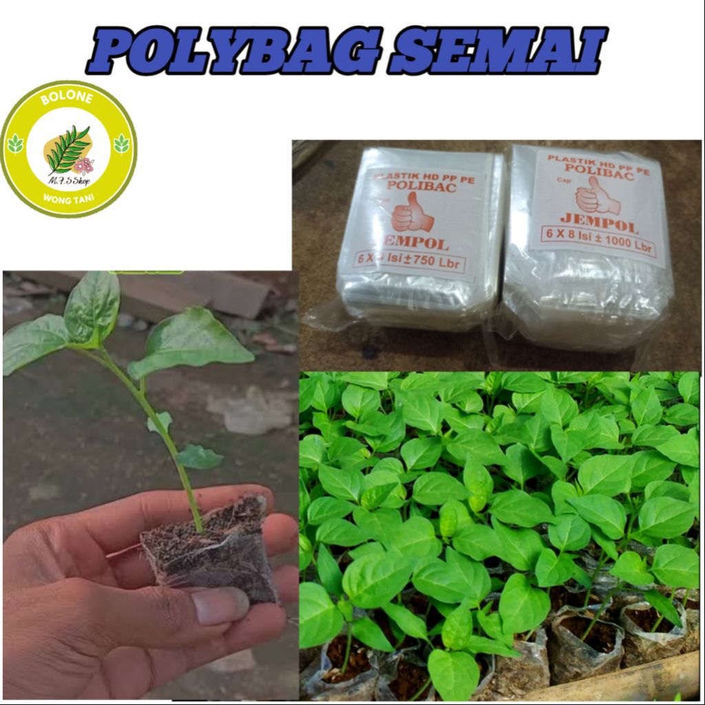 Jual PP SEMAI ISI 750/polybag Semai/POLYBAG/plastik bening/polibek ...