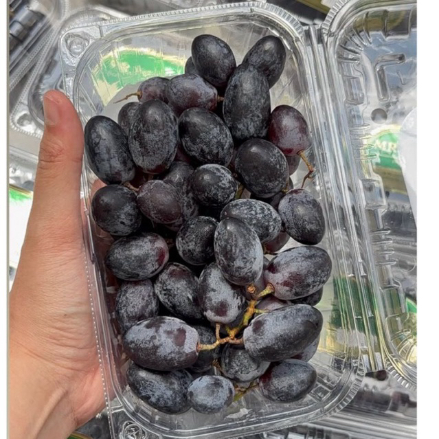 Jual Anggur Hitam Autum Royal Pack | Shopee Indonesia