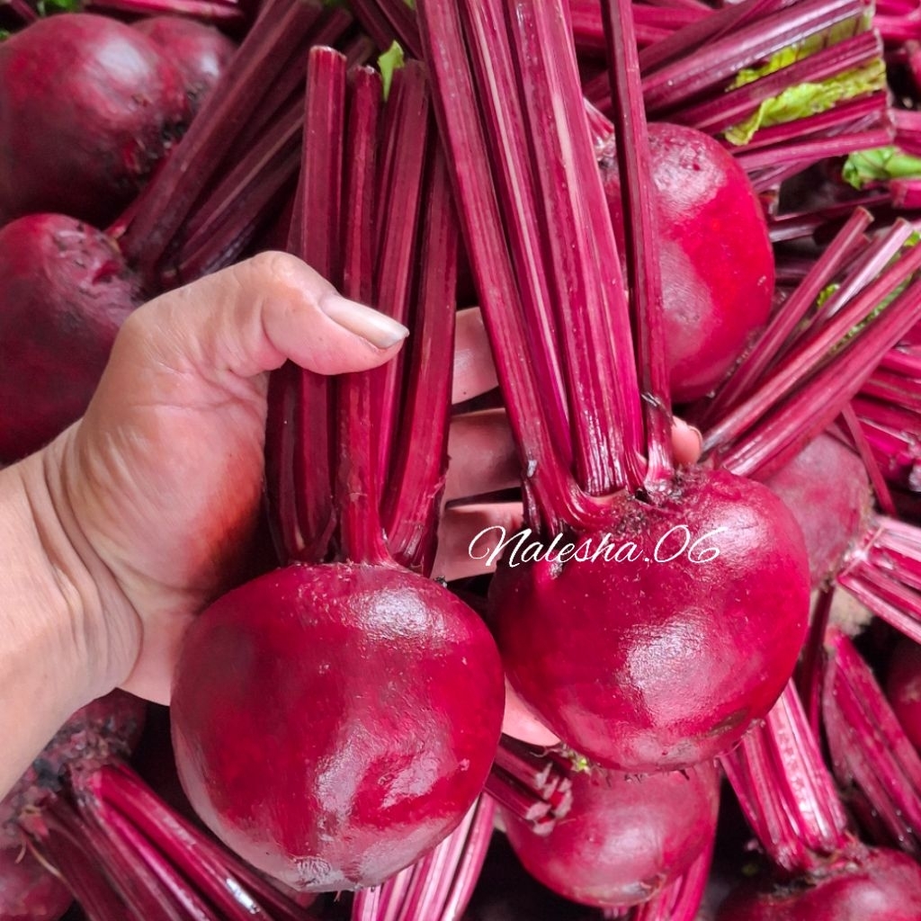 Jual Buah Bit Terlengkap & Harga Terbaru April 2026 | Shopee Indonesia