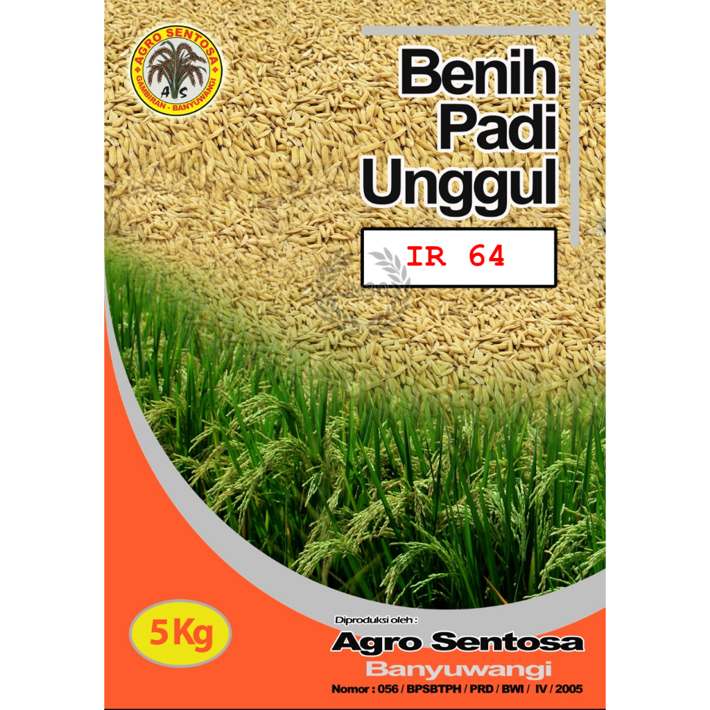 Jual BENIH PADI UNGGUL PREMIUM VARIETAS IR 64 KEMASAN 5 KG | Shopee ...