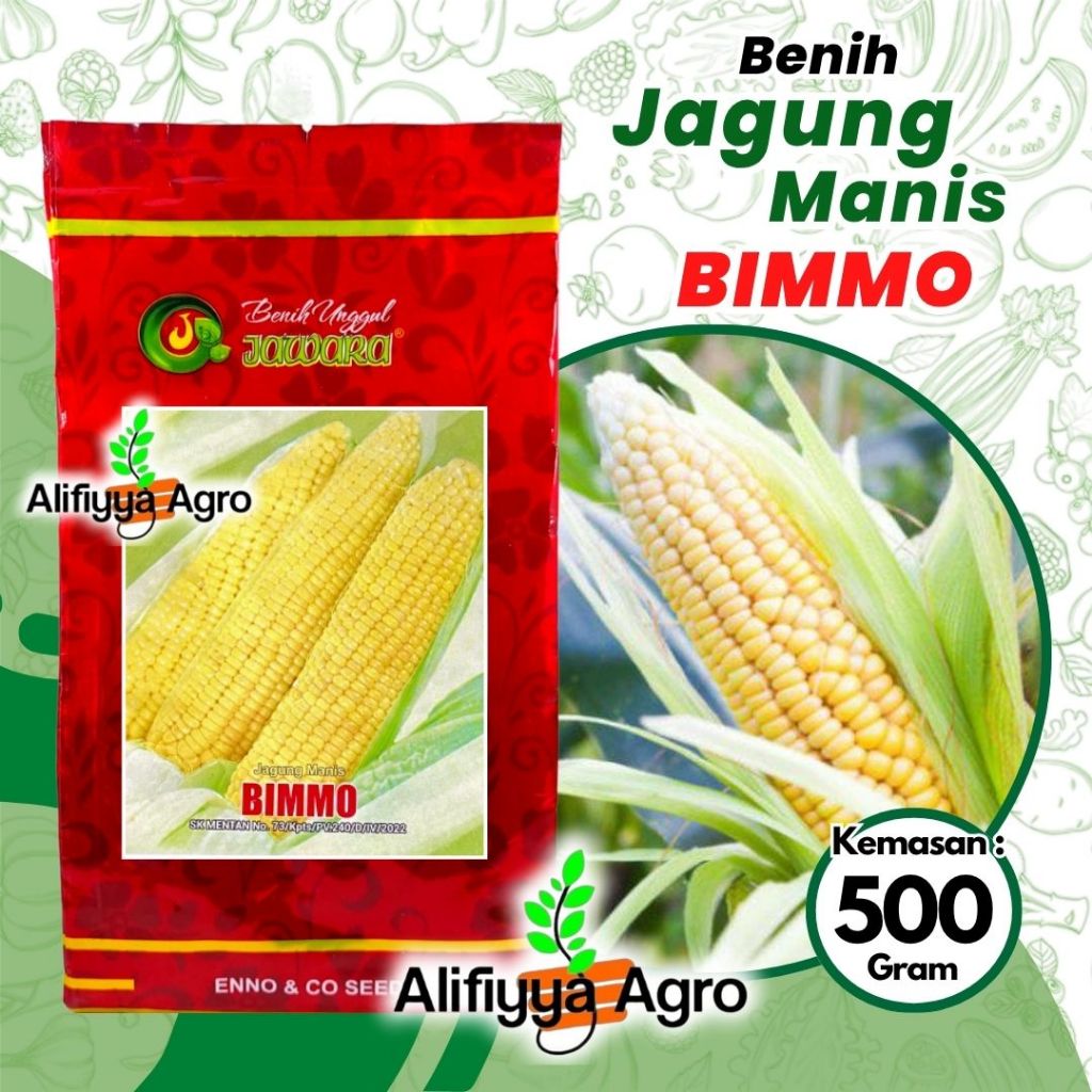 Jual Benih Jagung Manis - BIMMO 500 Gram - Benih Jagung JAWARA Unggul ...