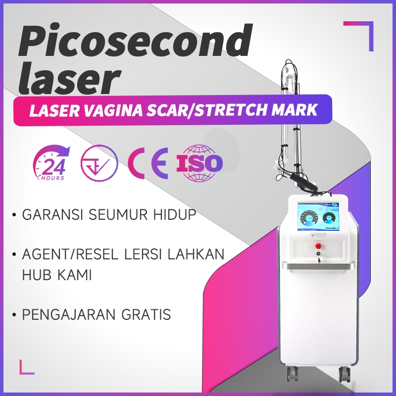 Jual jkt showroom & Picoway laser picosecond beauty machine alat klinik ...
