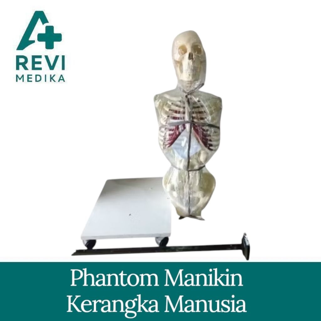 Jual Phantom Manikin kerangka manusia stand / Manekin Tengkorak ...