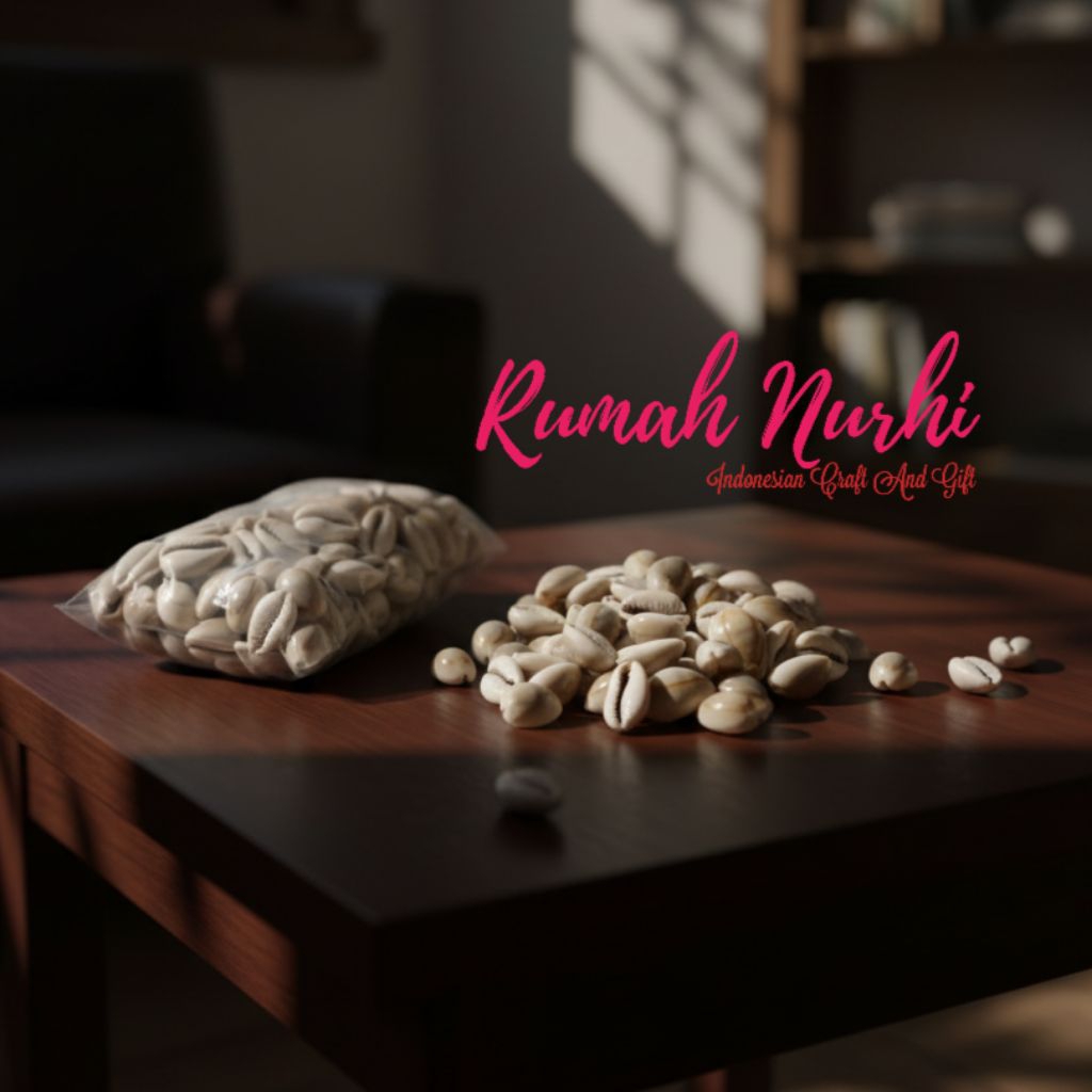 Jual 100 Pc Biji Kerang Kuwuk Asli Pelengkap Mainan Congklak | Shopee ...